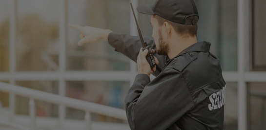 Task Force Security Service